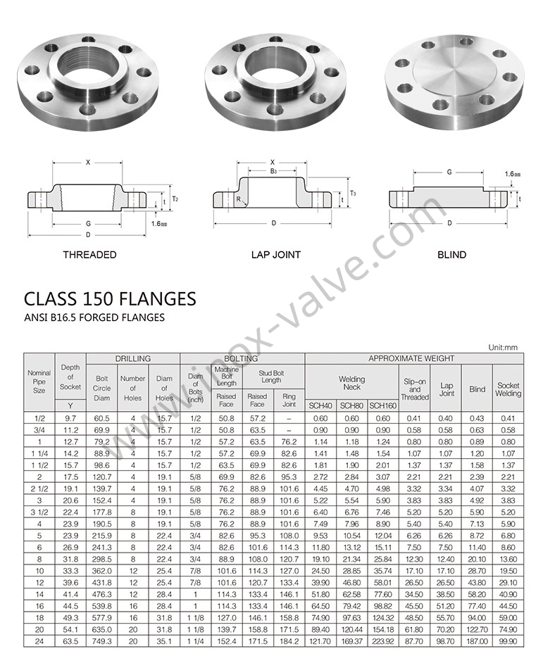 Lap Joint Flange ChiTie Inox Valve